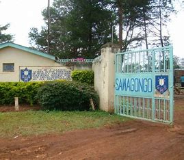 Educatiom Background